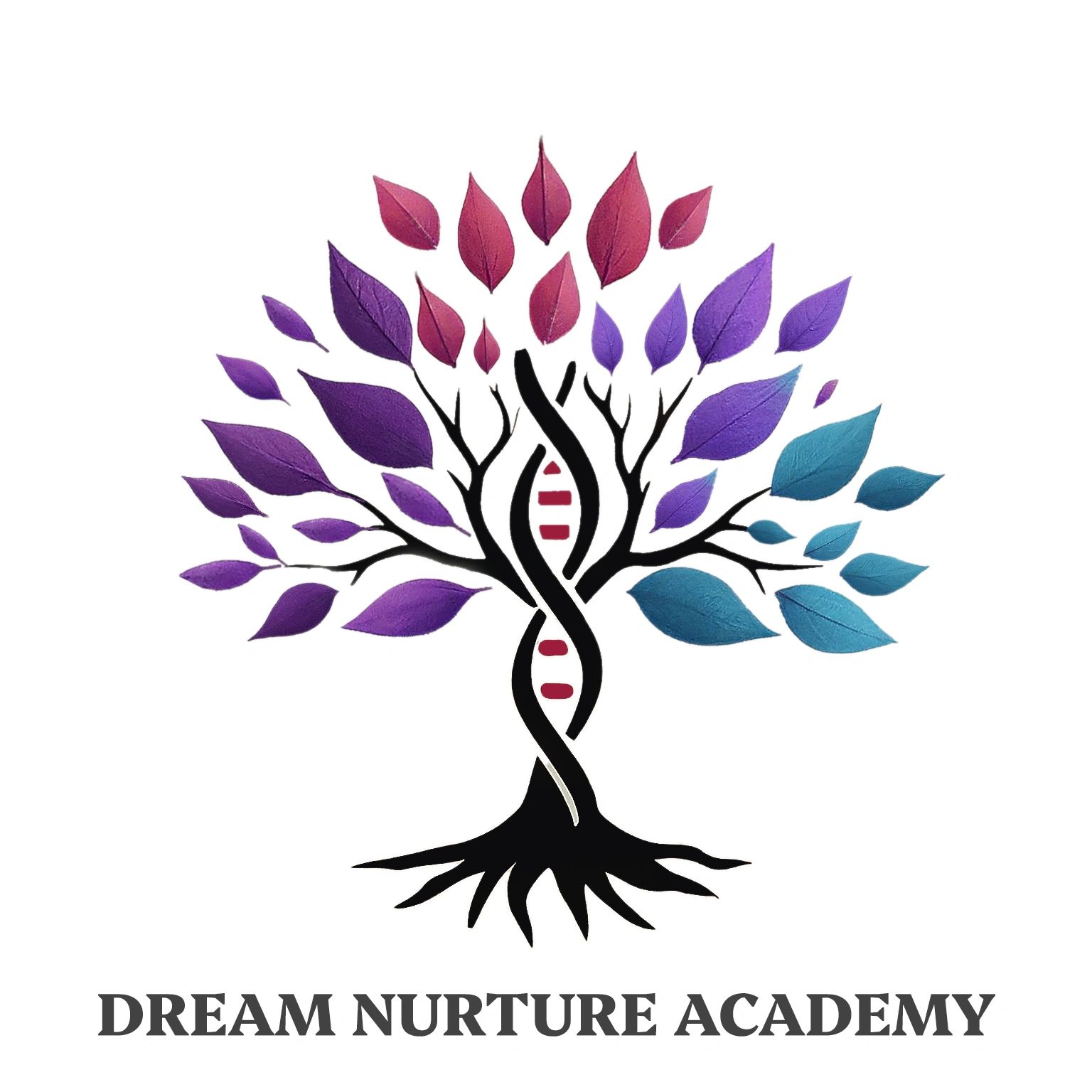 Dream Nurture Academy